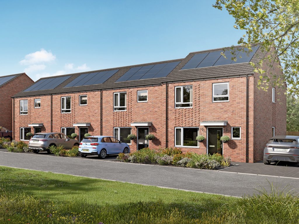 Projects Archive | Owl Partnerships